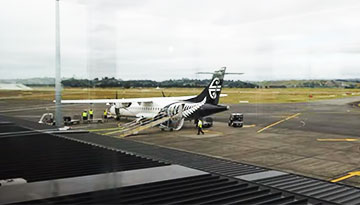 Cheapest Car/Van Rental Napier Airport (NPE) - New Zealand